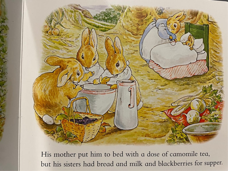 The Tale of Peter Rabbit Beatrix Potter - Etsy