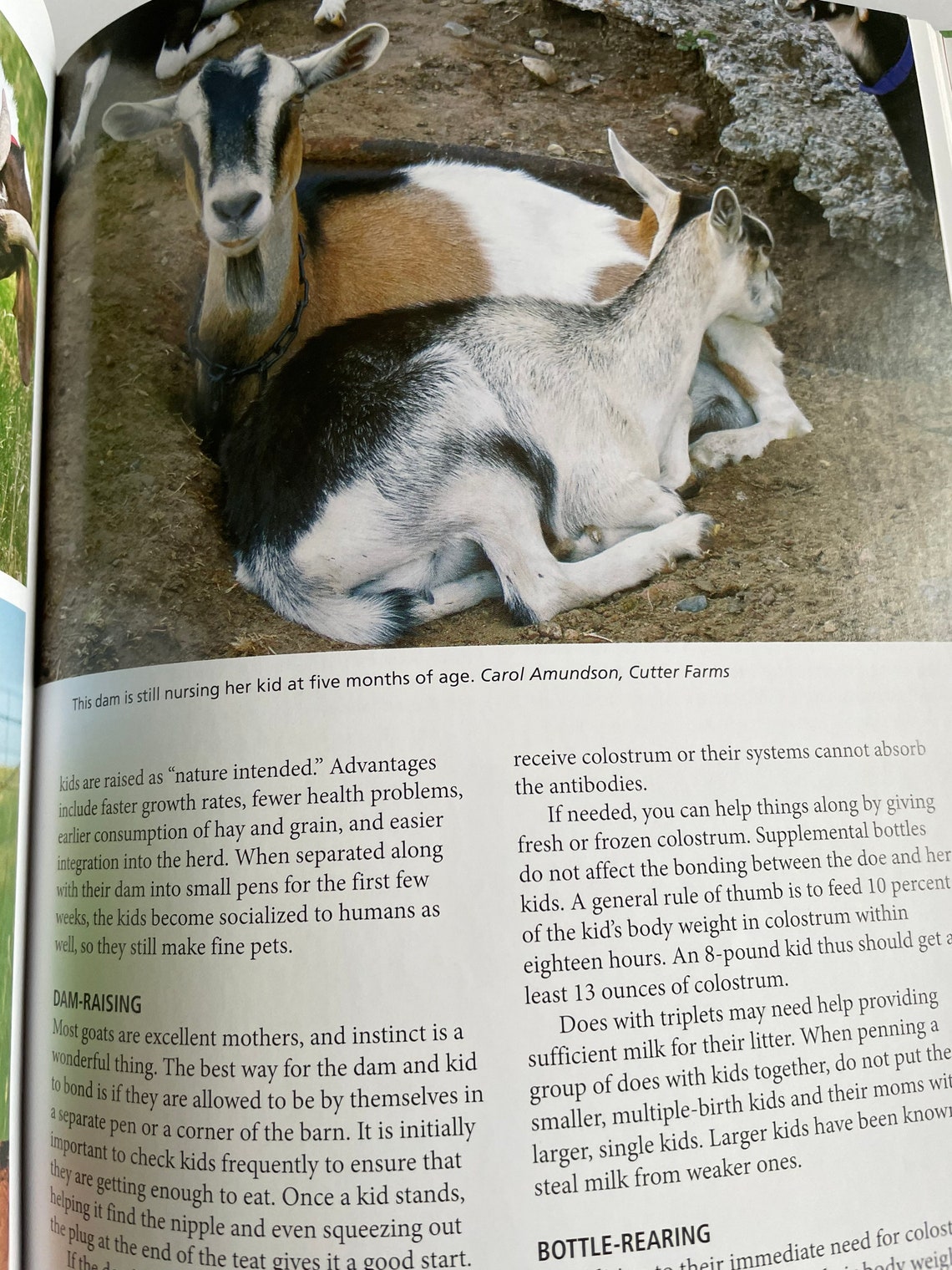 How to Raise Goats by Amundson Great Gift for a Goat Owner - Etsy