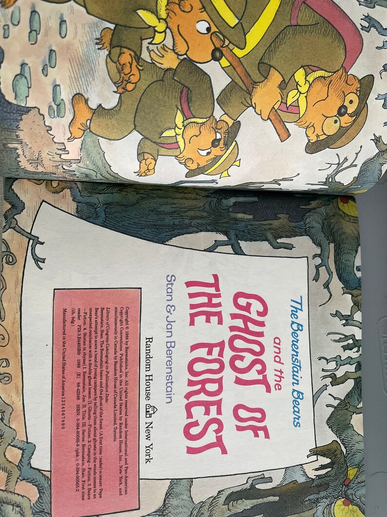 The Berenstain Bears and the Ghost of the Forest - Etsy