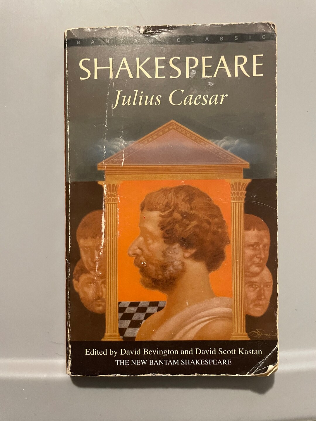 Shakespeare Julius Caesar Notes and Underlining - Etsy