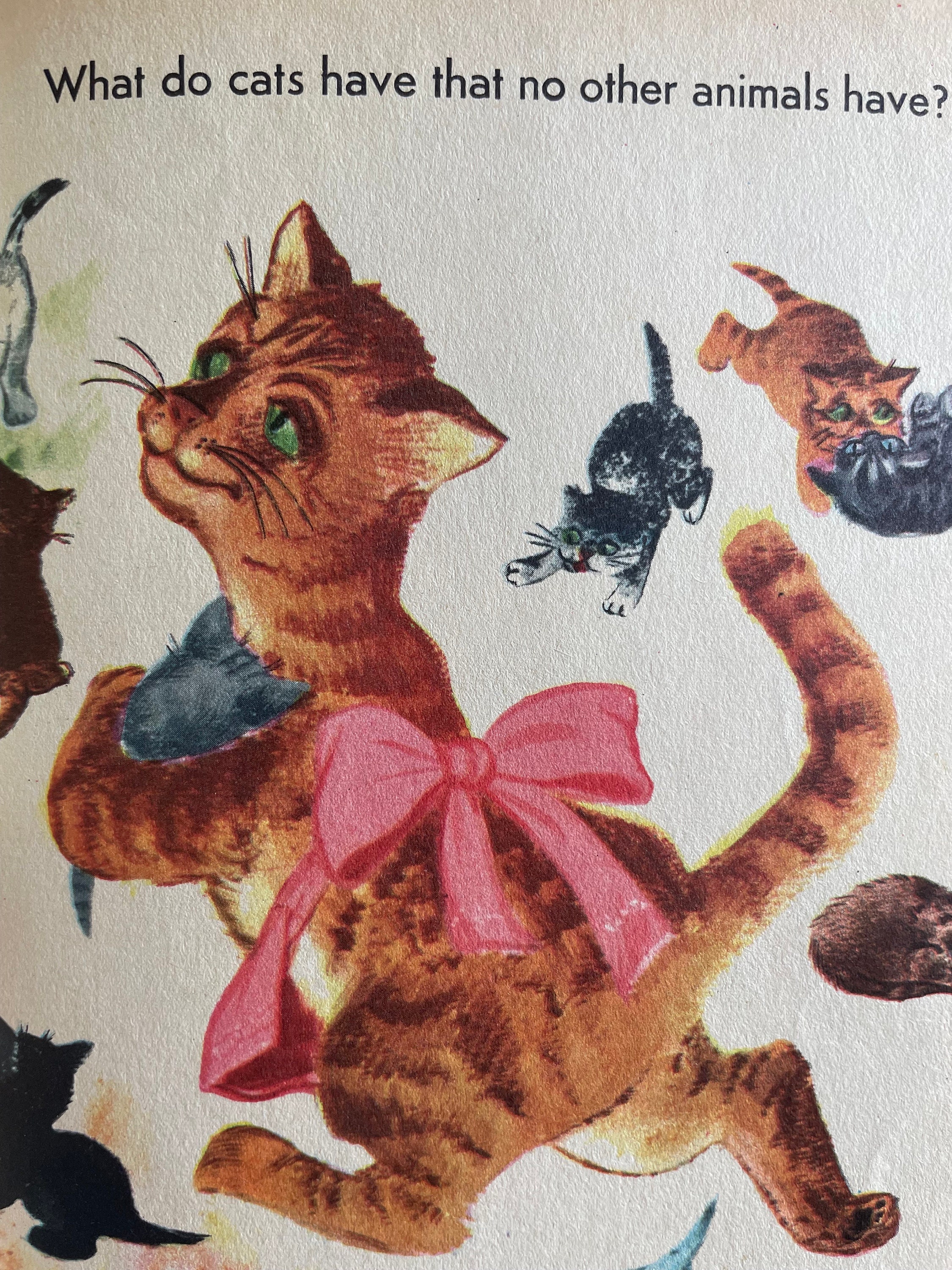 My First Book of Riddles Wonder Book 1960 - Etsy