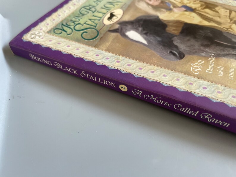 Young Black Stallion No. 2 A Horse Called Raven Steven Farley - Etsy