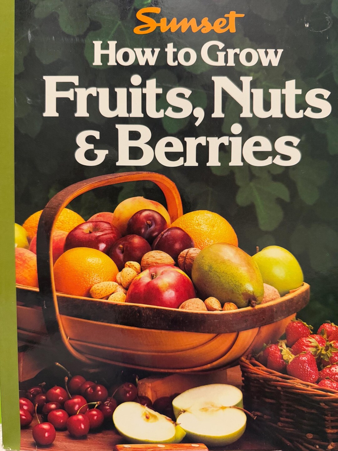 How to Grow Fruit Nuts and Berries Gardening off Grid Homesteading ...