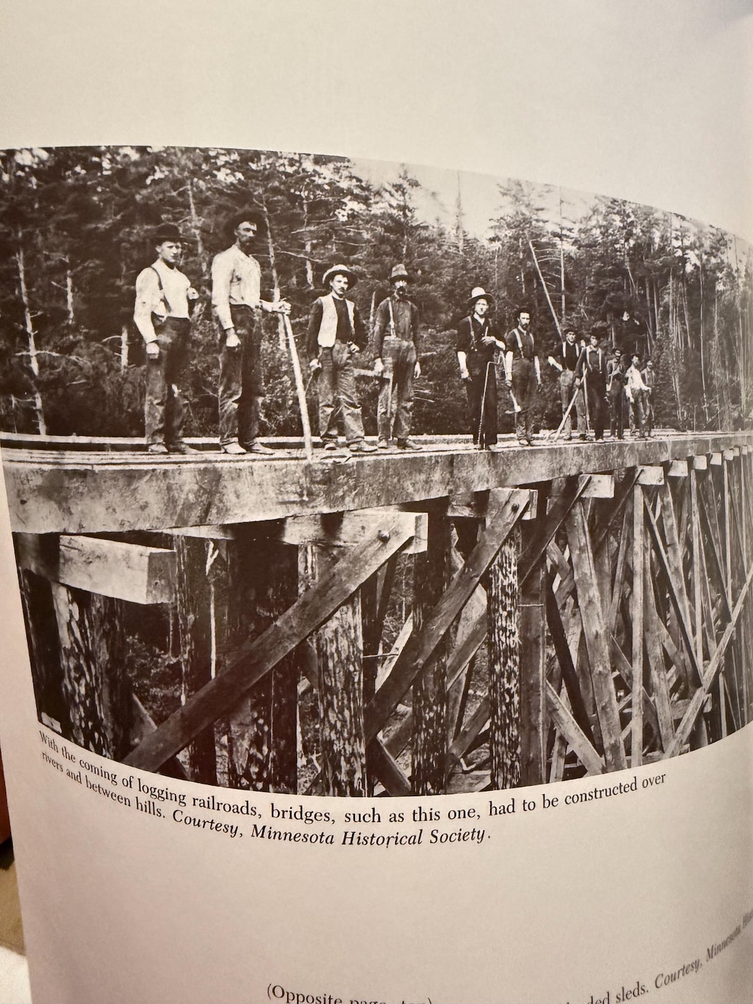 Tall Timber Logging in the Upper Midwest Usa Discounted for Water ...