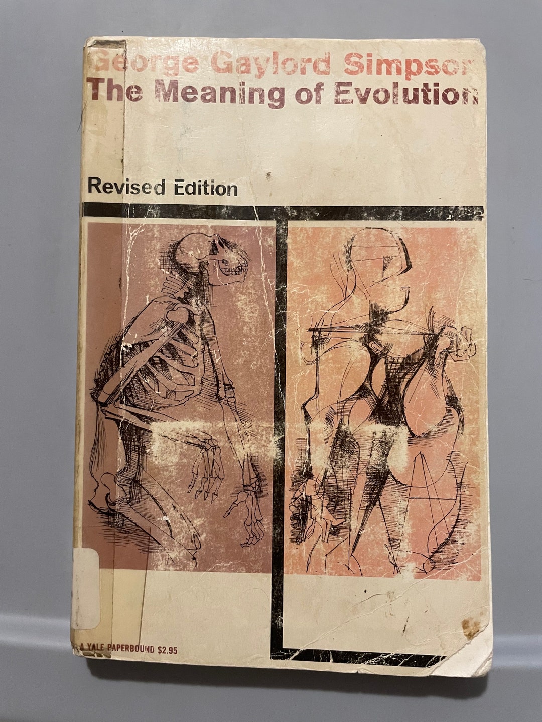 El significado de la evolución de George Gaylord Simpson 1967 - Etsy México
