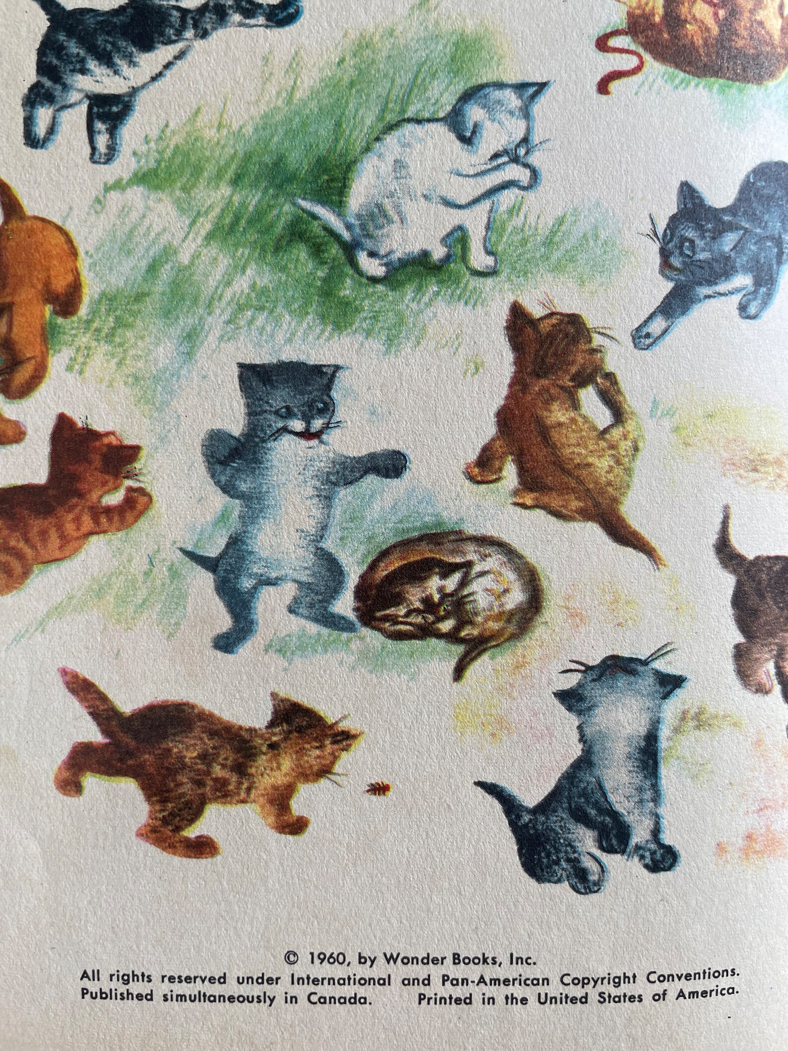 My First Book of Riddles Wonder Book 1960 - Etsy