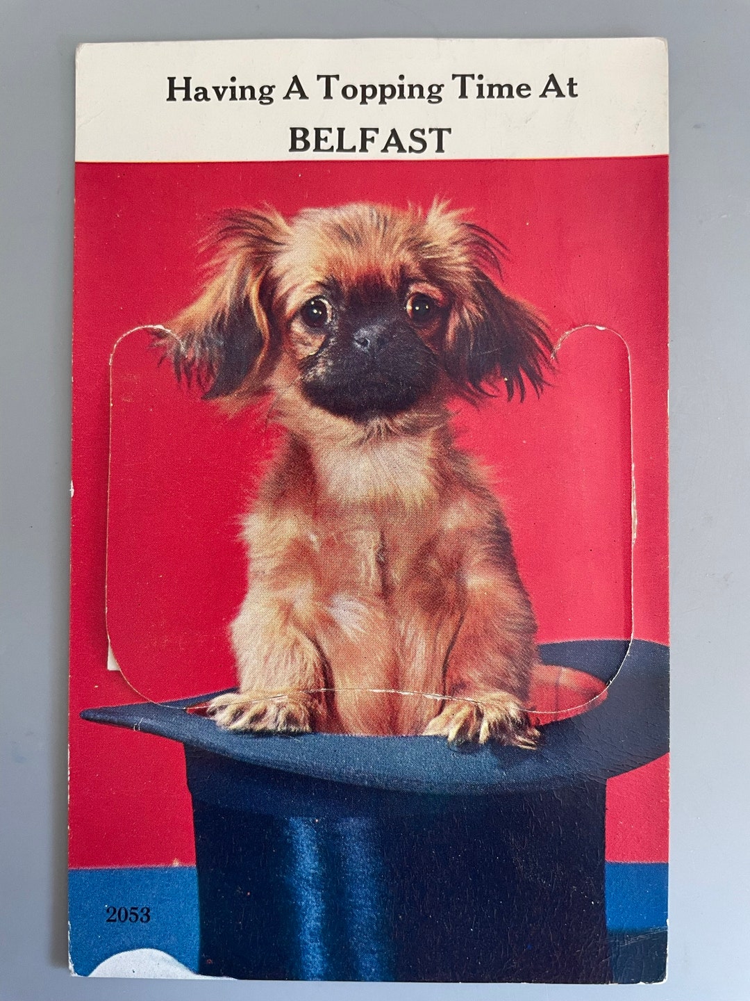 Belfast Ireland Cocker Spaniel Pug Unique Mini Postcards - Etsy