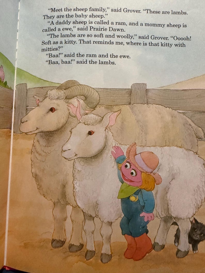 Sesame Street Baby Animals on the Farm Pigs Goats Cows Hens Cows - Etsy