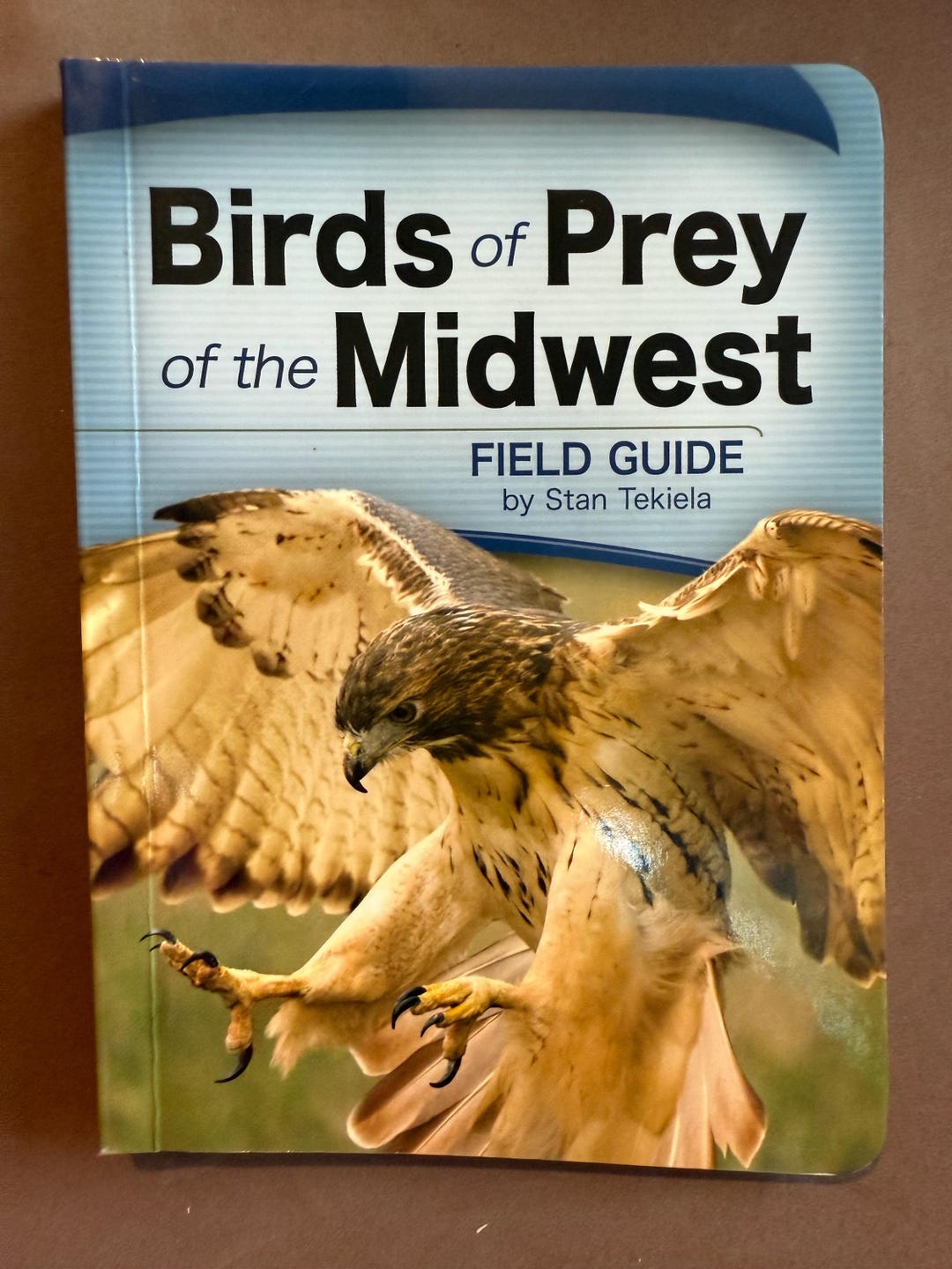 Bird of Prey of the Midwest Field Guide Photos Hawk Falcon Eagle Owl - Etsy