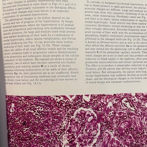 Basic Histopathology Histotech Cytotech Color Atlas and Text - Etsy