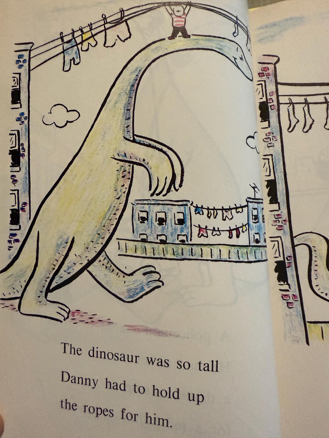 Dinosaur and Danny Hardcover an I Can Read Book - Etsy