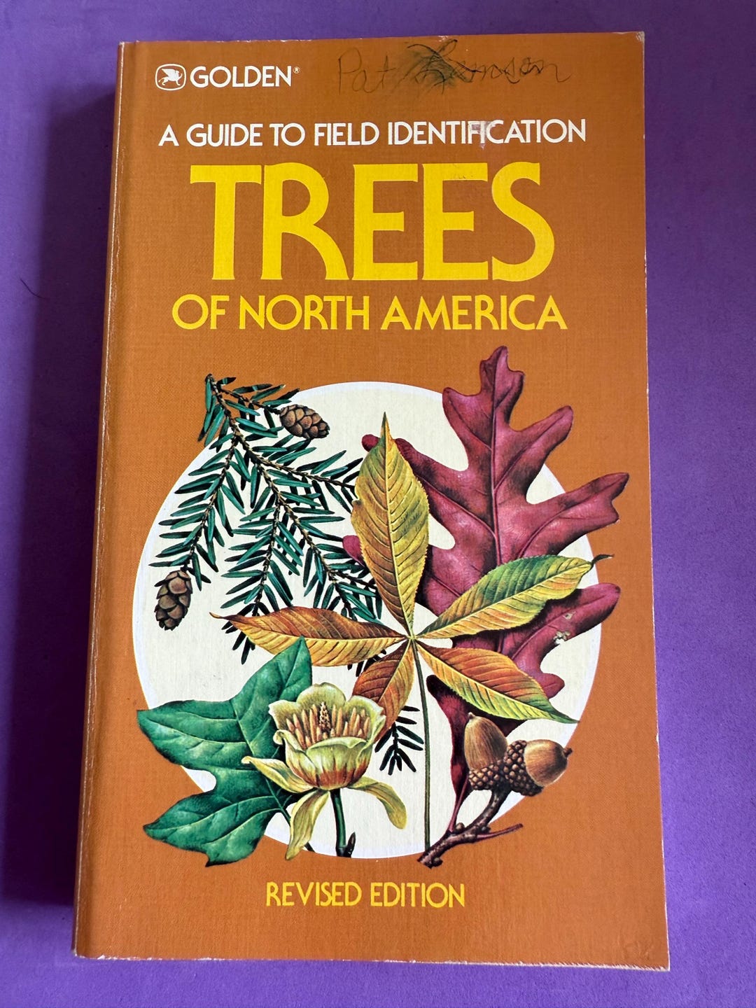 Tree ID Identification in North America USA a Golden Field Guide Fir ...