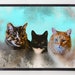 Personalized Multiple Cats Portrait Custom Pet Portrait Custom | Etsy