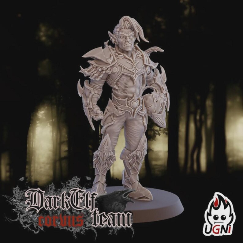Dark Elf Fantasy Football Team | 16 Players + Tokens | League ...