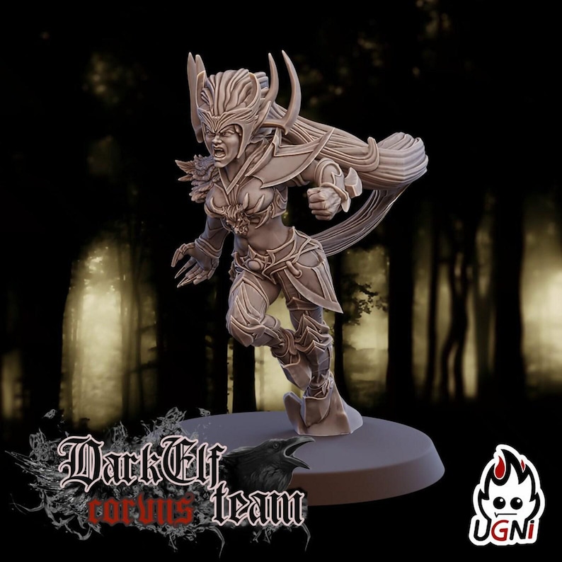 Dark Elf Fantasy Football Team | 16 Players + Tokens | League ...