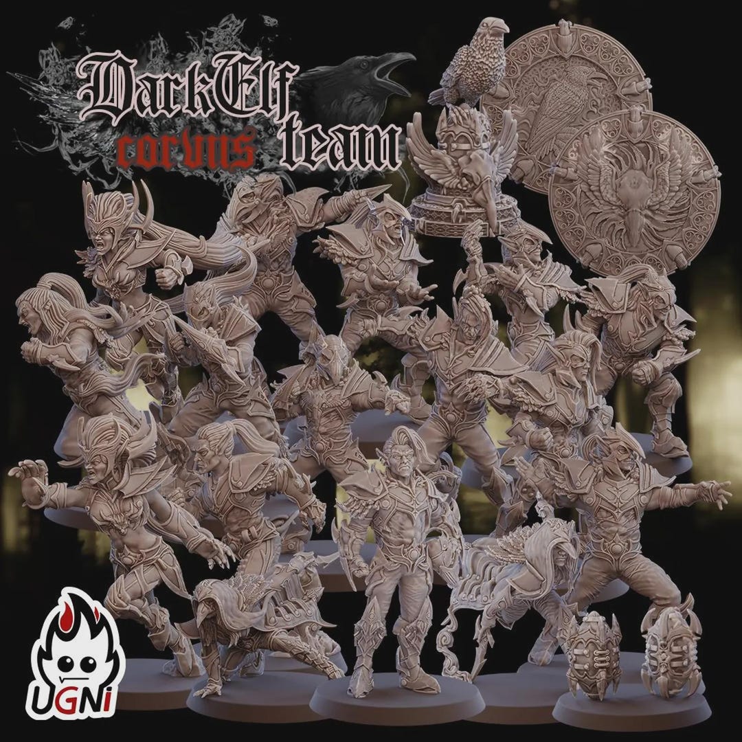 Dark Elf Fantasy Football Team | 16 Players + Tokens | League ...