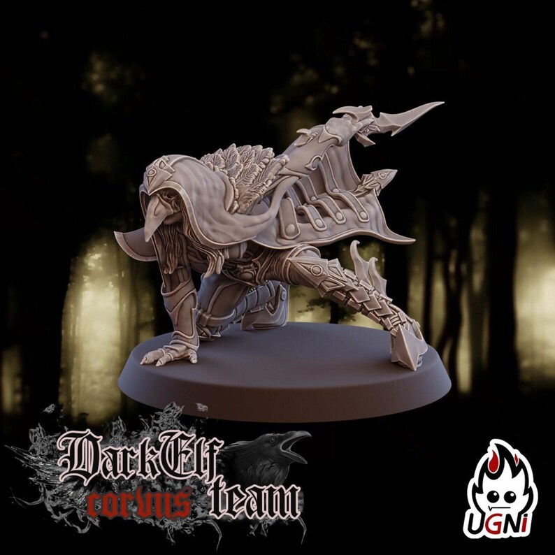 Dark Elf Fantasy Football Team | 16 Players + Tokens | League ...