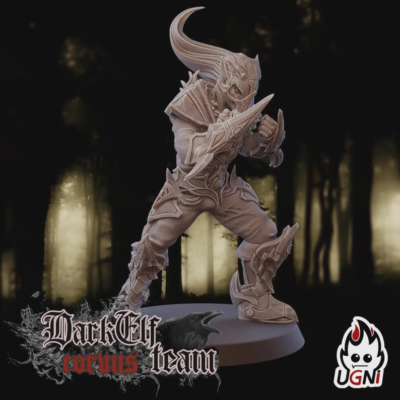 Dark Elf Fantasy Football Team | 16 Players + Tokens | League ...