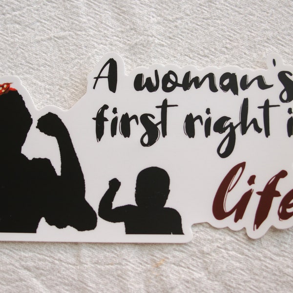 Pro Life Bumper Sticker - Etsy