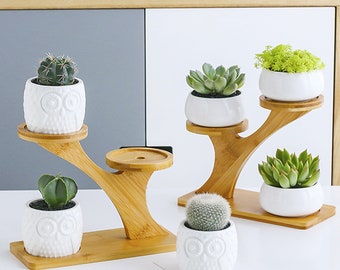 Desktop Plant Stand | Etsy