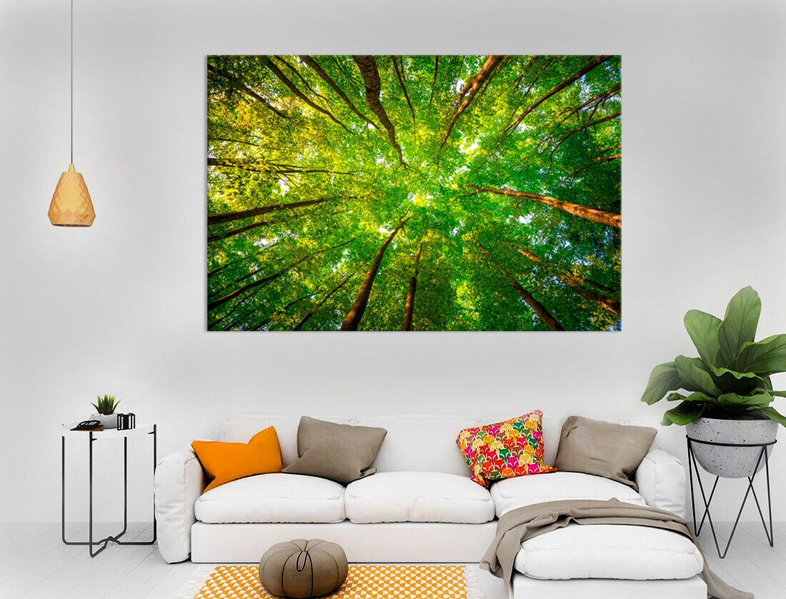 Forest Wall Art Beautiful Landscape Sequoia Tree Branch Wall Decor ...