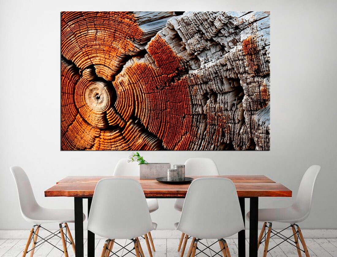 Wood Texture With Cracks Tree Rings Wall Decoration Wooden - Etsy