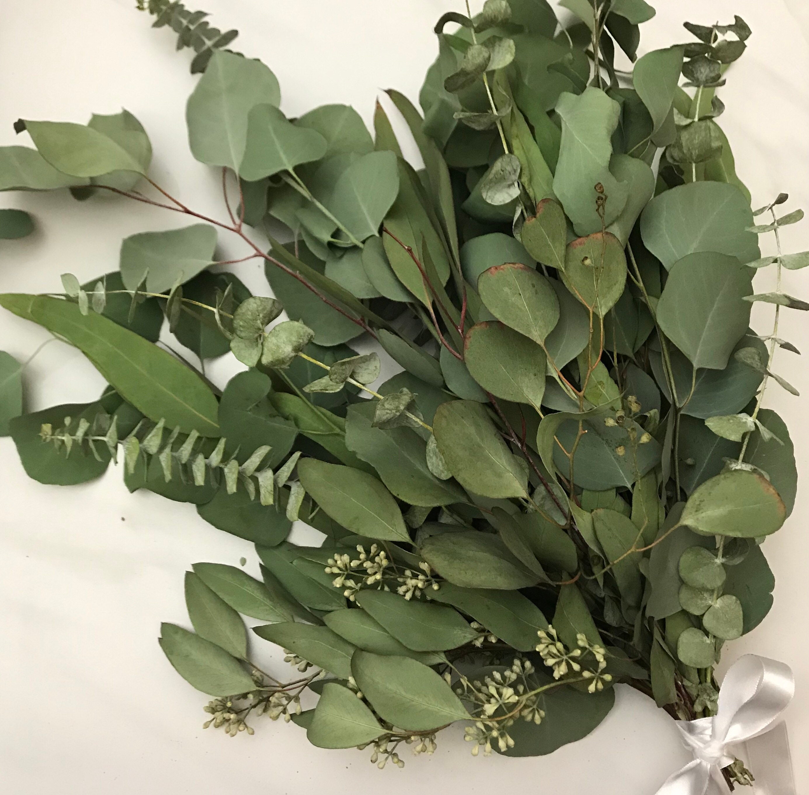 DRIED Mixed Eucalyptus Large Bouquet | Wedding Decor, Bridal ...