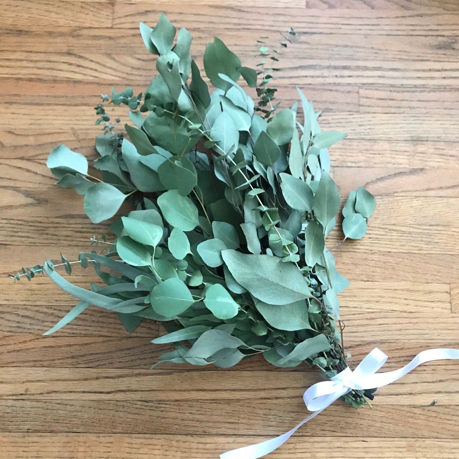 DRIED Mixed Eucalyptus Large Bouquet | Wedding Decor, Bridal ...