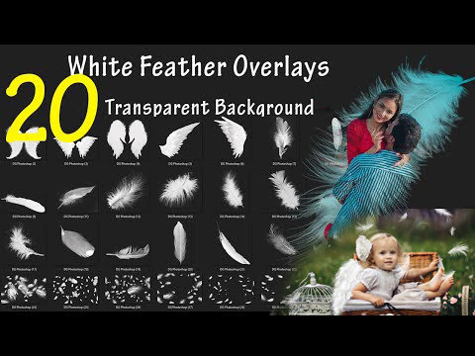 20 Feather Overlays Feather Photo Overlay Feather Photoshop | Etsy