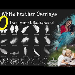 20 Feather Overlays Feather Photo Overlay Feather Photoshop | Etsy