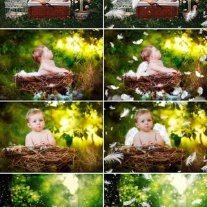 20 Feather Overlays Feather Photo Overlay Feather Photoshop | Etsy