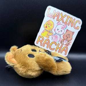 Waxing Racha Stray Kids Skzoo 3" Holographic Vinyl Sticker - Etsy