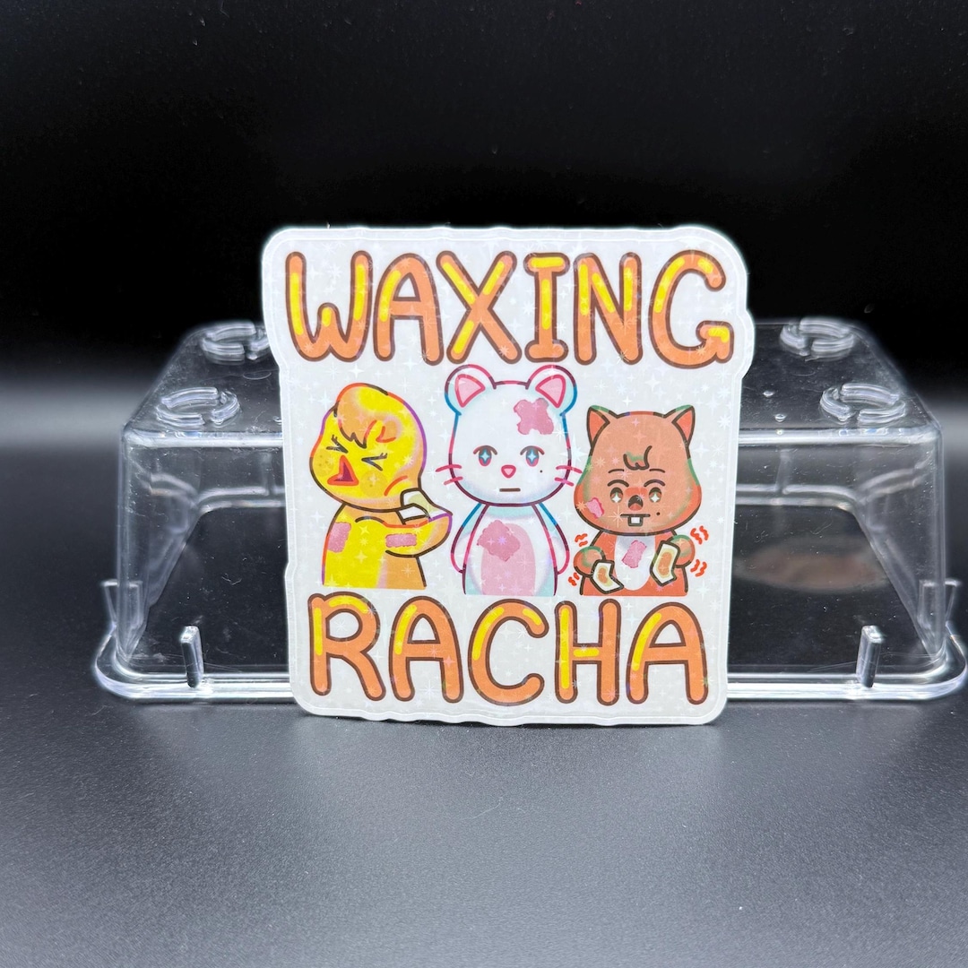 Waxing Racha Stray Kids Skzoo 3" Holographic Vinyl Sticker - Etsy