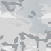 OCP Alpine Vector Camouflage Pattern for Printing, Scorpion, Army ...