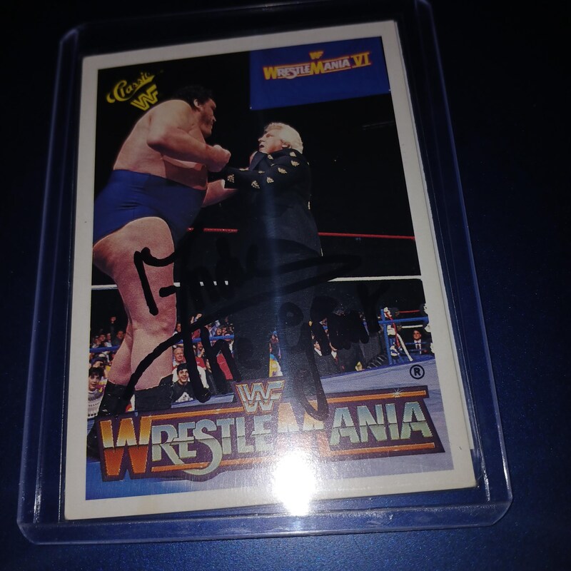 Andre Giant Hasbro - Etsy New Zealand