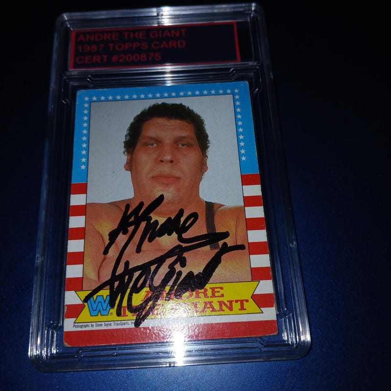 Andre Giant Hasbro - Etsy New Zealand