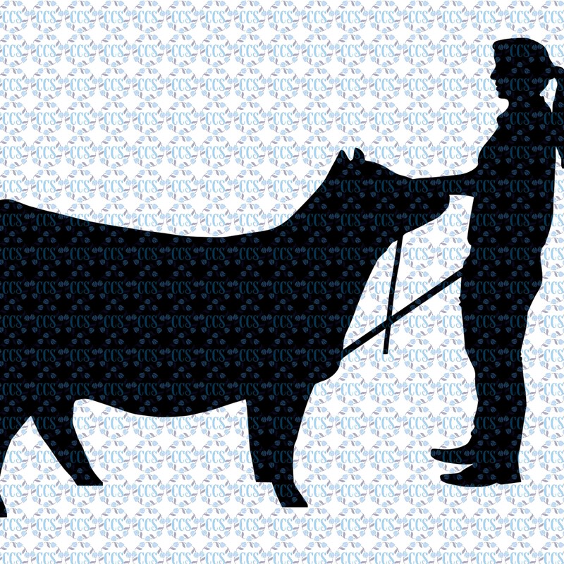 Show Cow Svg - Etsy