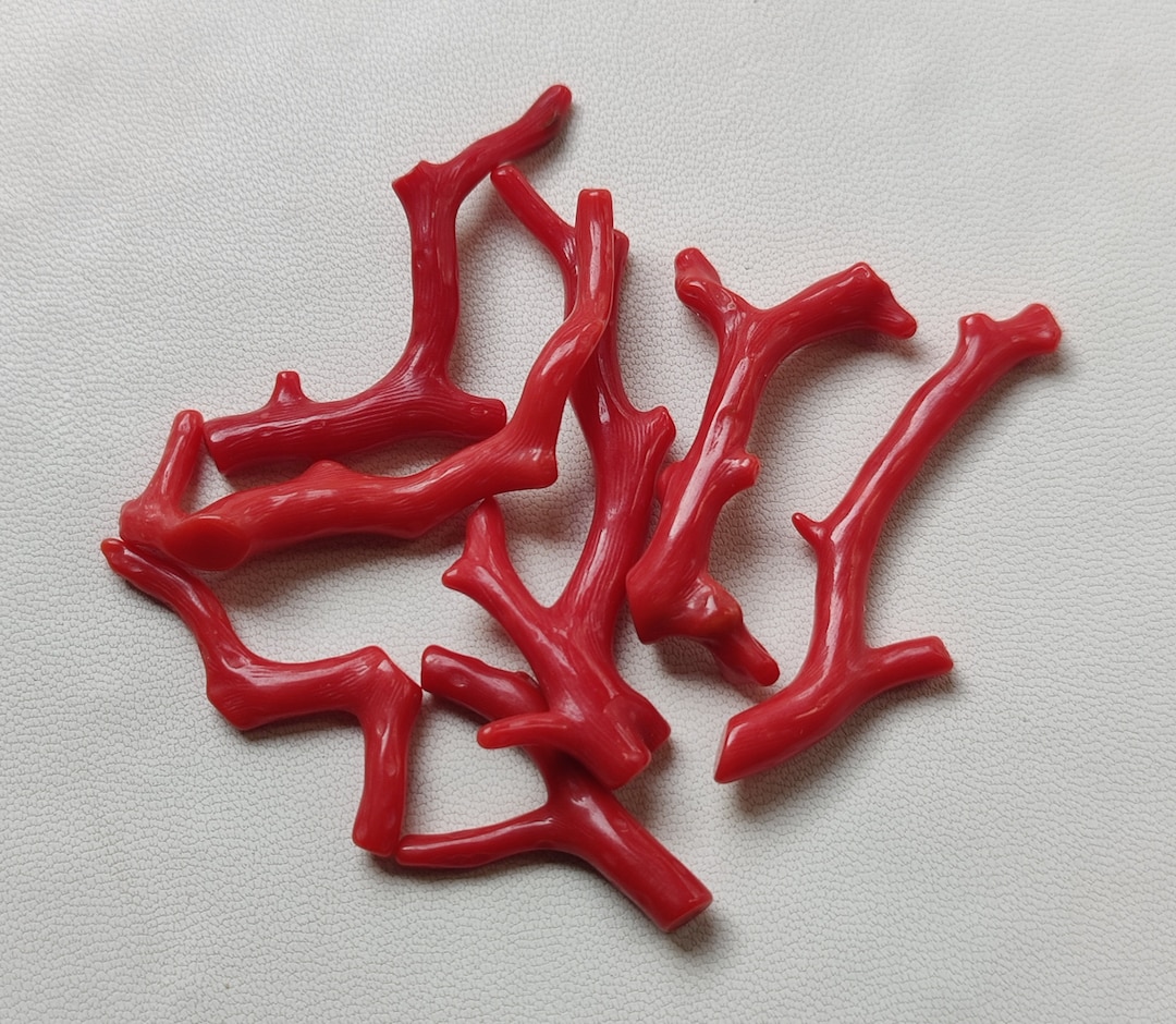 Genuine 100% Natural Italian Red Coral Loose Branch Polished Stick. Sea ...