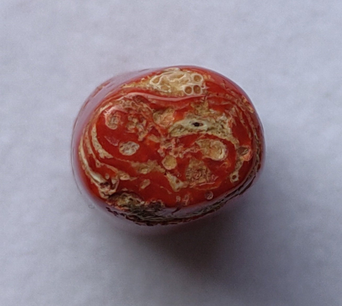 WOW 100% Natural Italian Coral Cabochon Red Coral Oval | Etsy