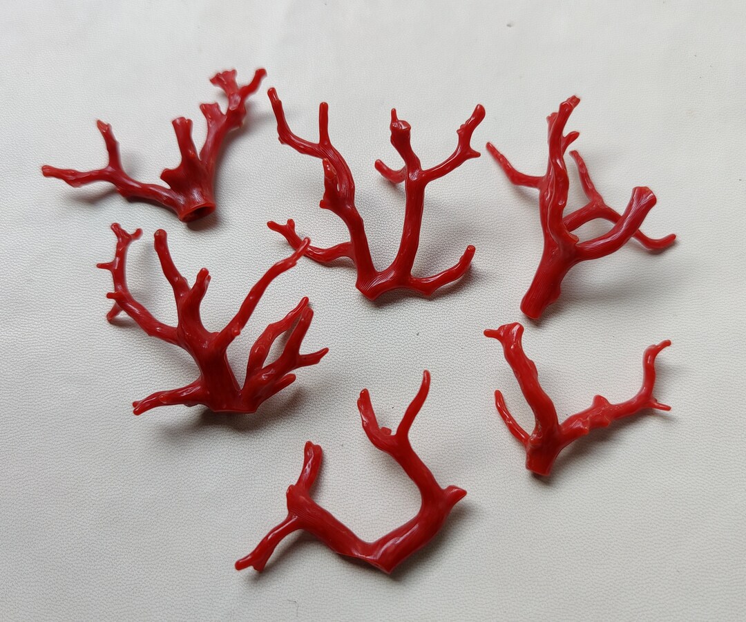 6 Piece Natural Coral Italian Red Coral Stick Rough Polished Size 53X49 ...