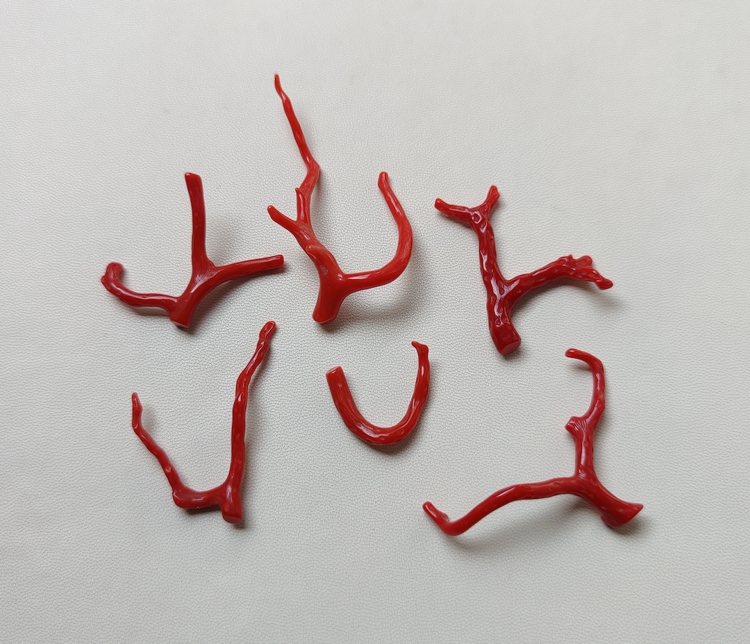 Blood Red Coral, 100% Natural Italian Coral Loose Branch, Red Coral ...