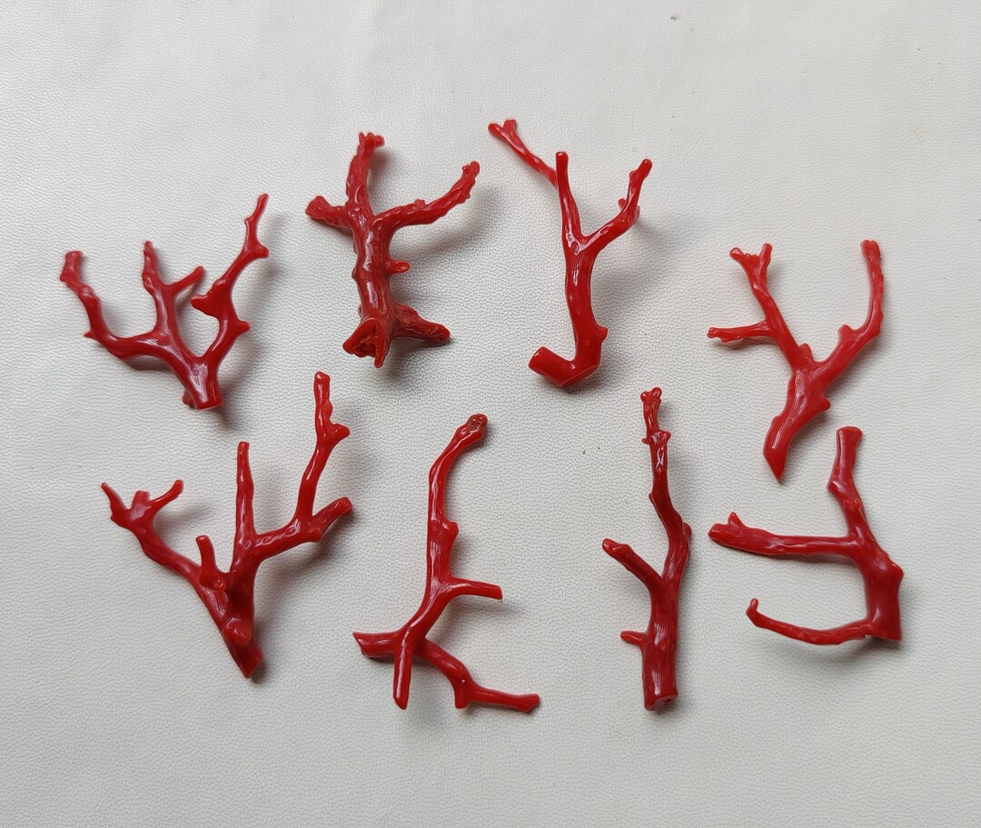 Italian Sea Red Coral Stick, 100% Natural Italian Red Coral Rough ...