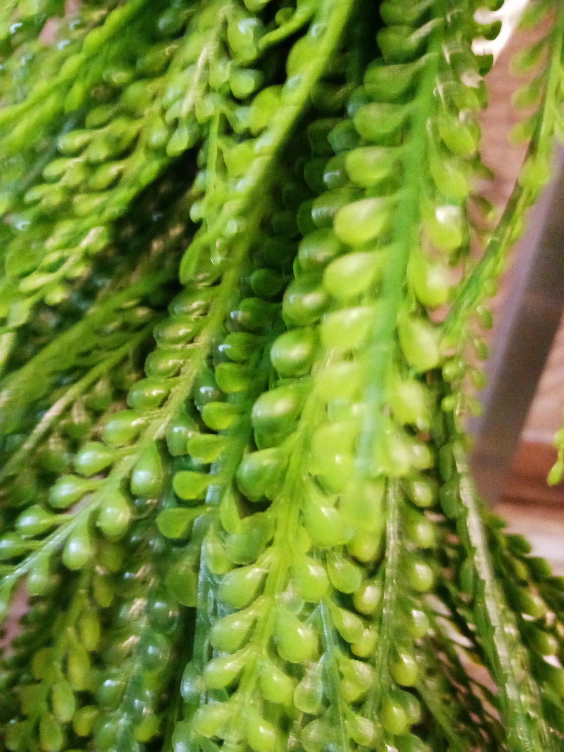 All Year Round Wreath, Bead Grass Wreath, Button Fern Wreath, Greenery ...