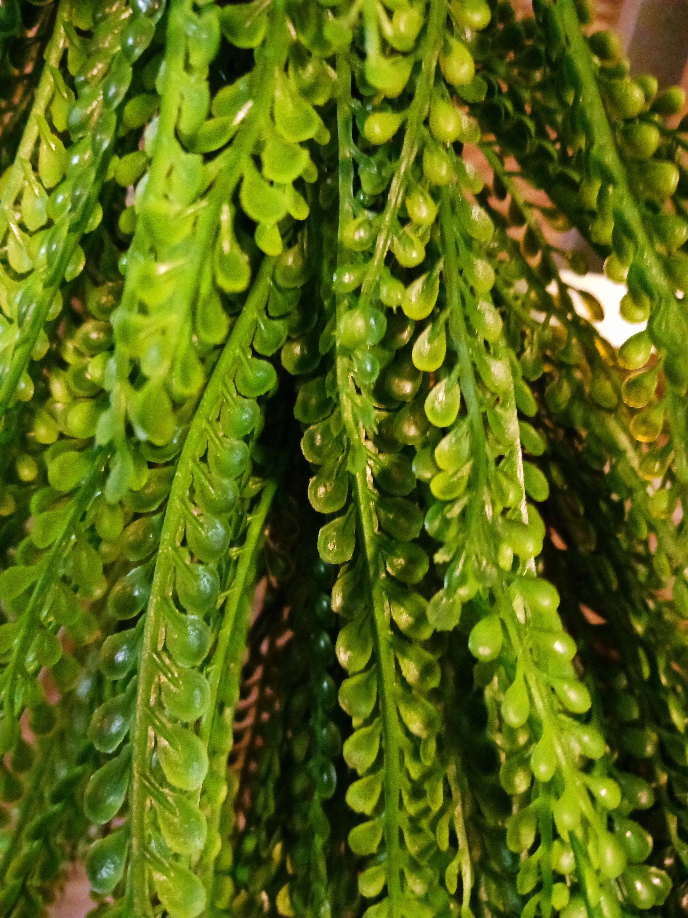 All Year Round Wreath, Bead Grass Wreath, Button Fern Wreath, Greenery ...
