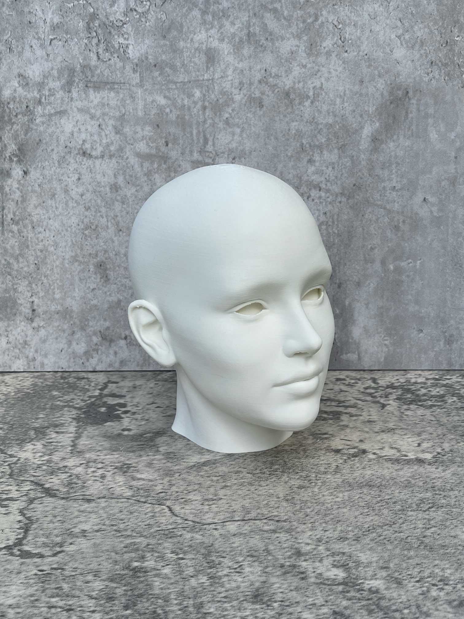 Human Head 10 25.4 Cm Human Bust Learn the Planes of the - Etsy