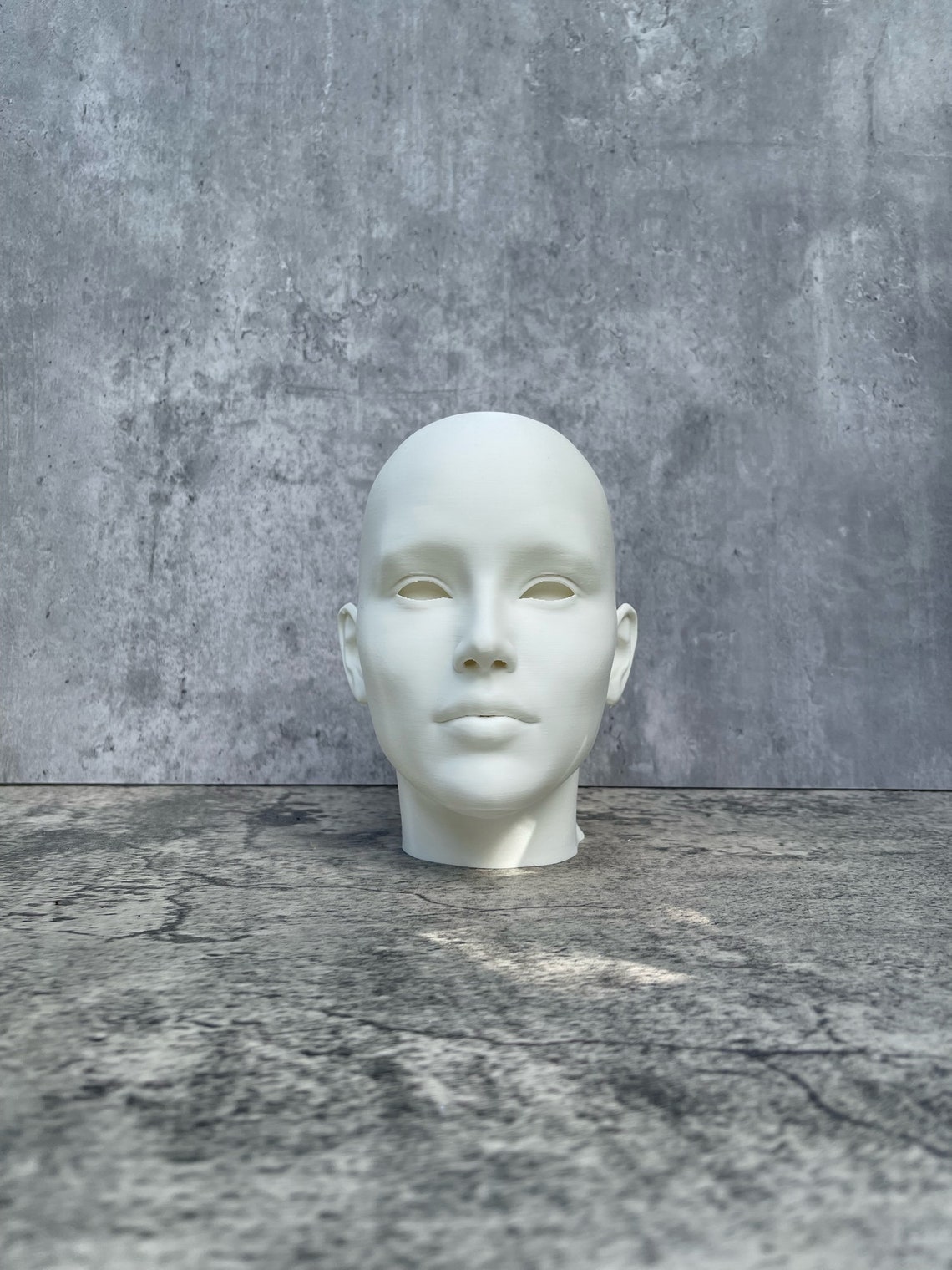 Human Head 10 25.4 Cm Human Bust Learn the Planes of the - Etsy