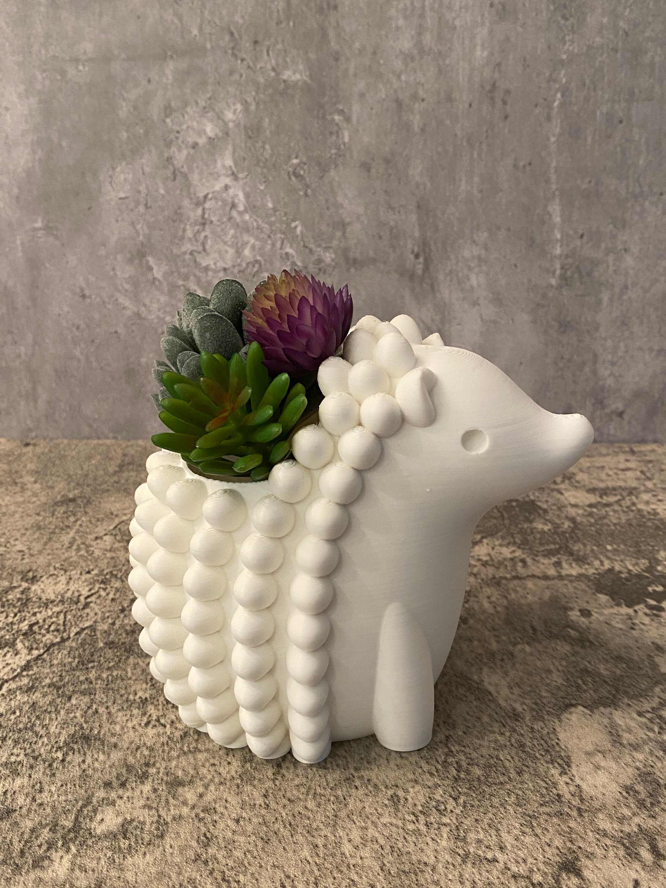 Cute Hedgehog Planter Vase Succulent - Etsy