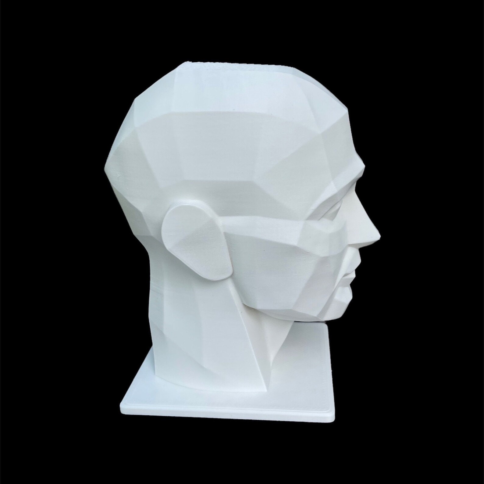 7 17.78 Cm Planar Head, Planar Bust, Learn the Planes of the Head ...
