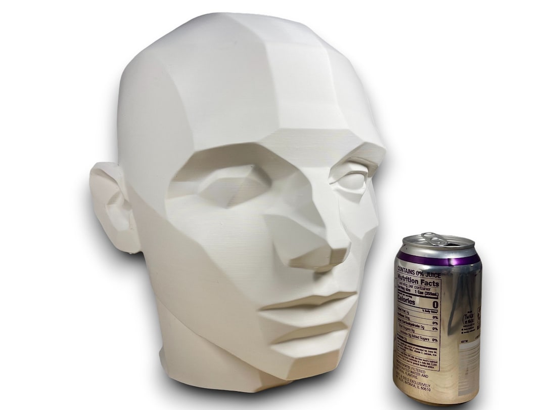 John Asaro Style Planar Head,size 12" 30.48cm, Planar Bust, Learn the ...