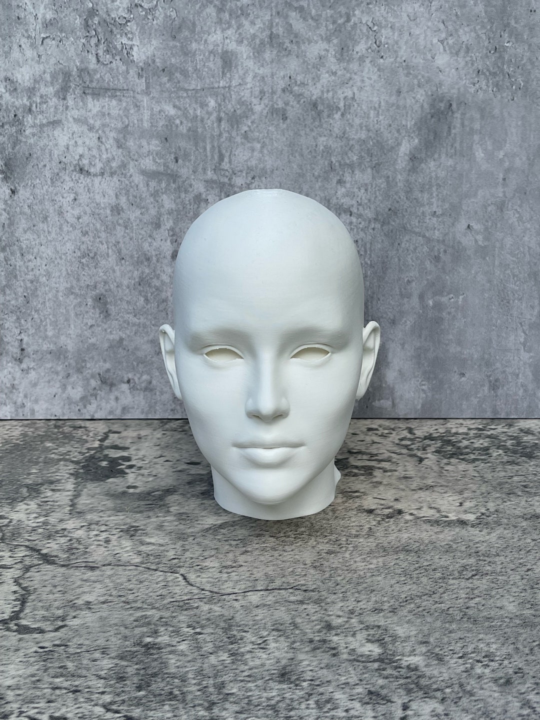 Human Head 10” 25.4 Cm, Human Bust, Learn the Planes of the Head - Etsy